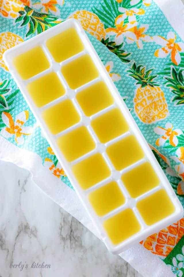 Tropical Cocktail Booze Cubes