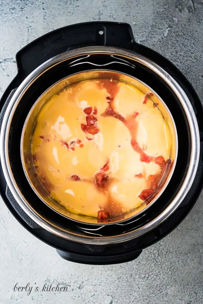 Easy Instant Pot Cheese Dip