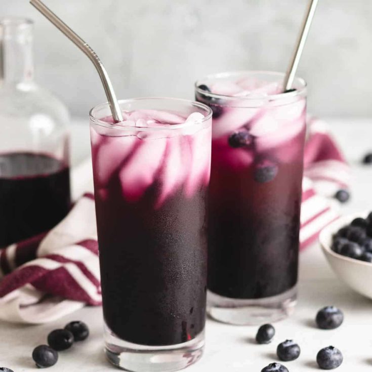 Simple Homemade Blueberry Soda Recipe – Berly's Kitchen