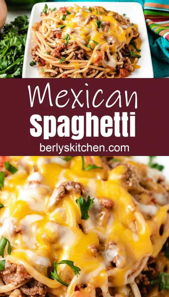 Mexican Spaghetti