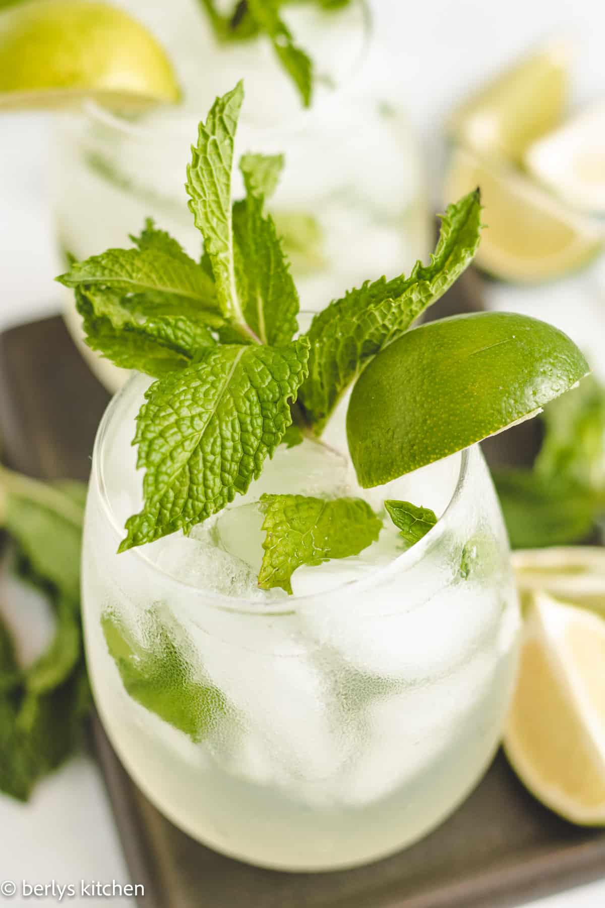 Coconut Rum Mojito