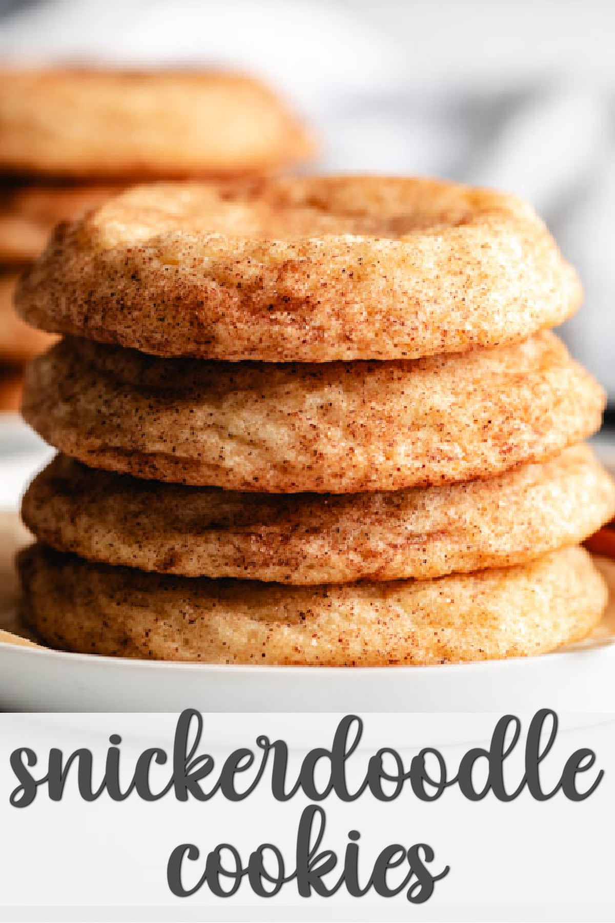 Snickerdoodle Recipe